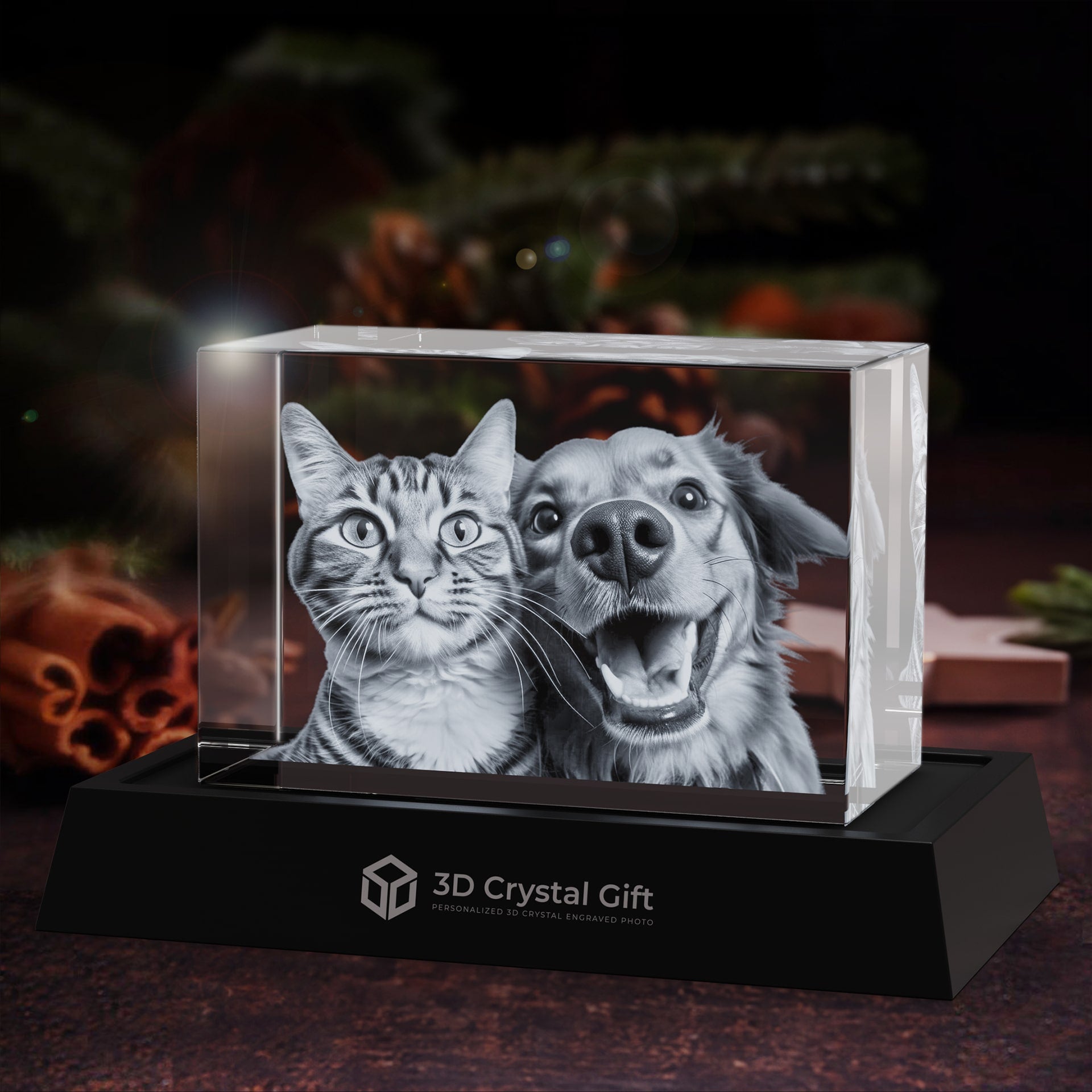 3D Crystal Photo Landscape | Laser-Etched Family Picture Gift – 3D ...