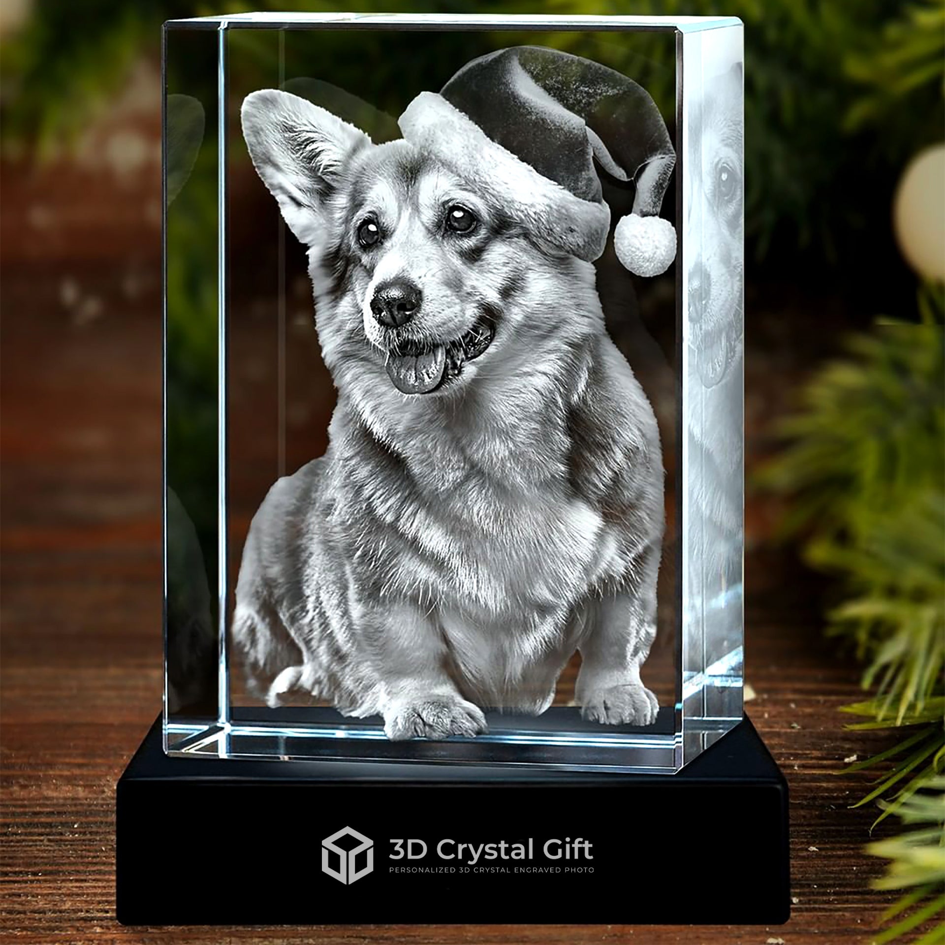 Personalized 3D Crystal Photo Portrait | Laser-Engraved Picture Gift ...